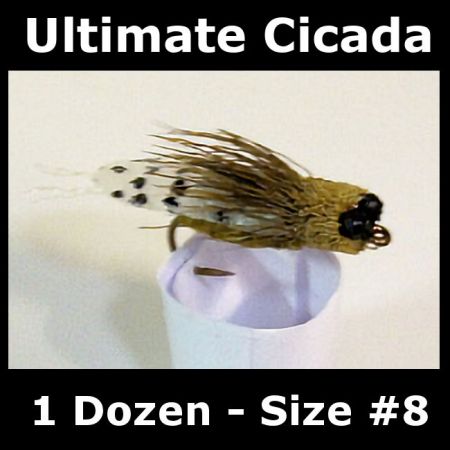 Flies TROUT - DRY Cicada -1 dozen